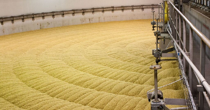 Crafting Quality: It Starts with Malt